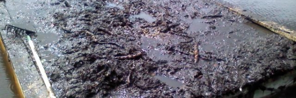 Pond Scum Scooper Rollingbarge